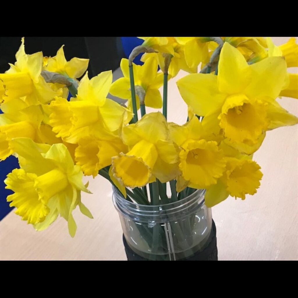 Enniscrone Day Services Daffodil Day 24th March 2023 - North West ...